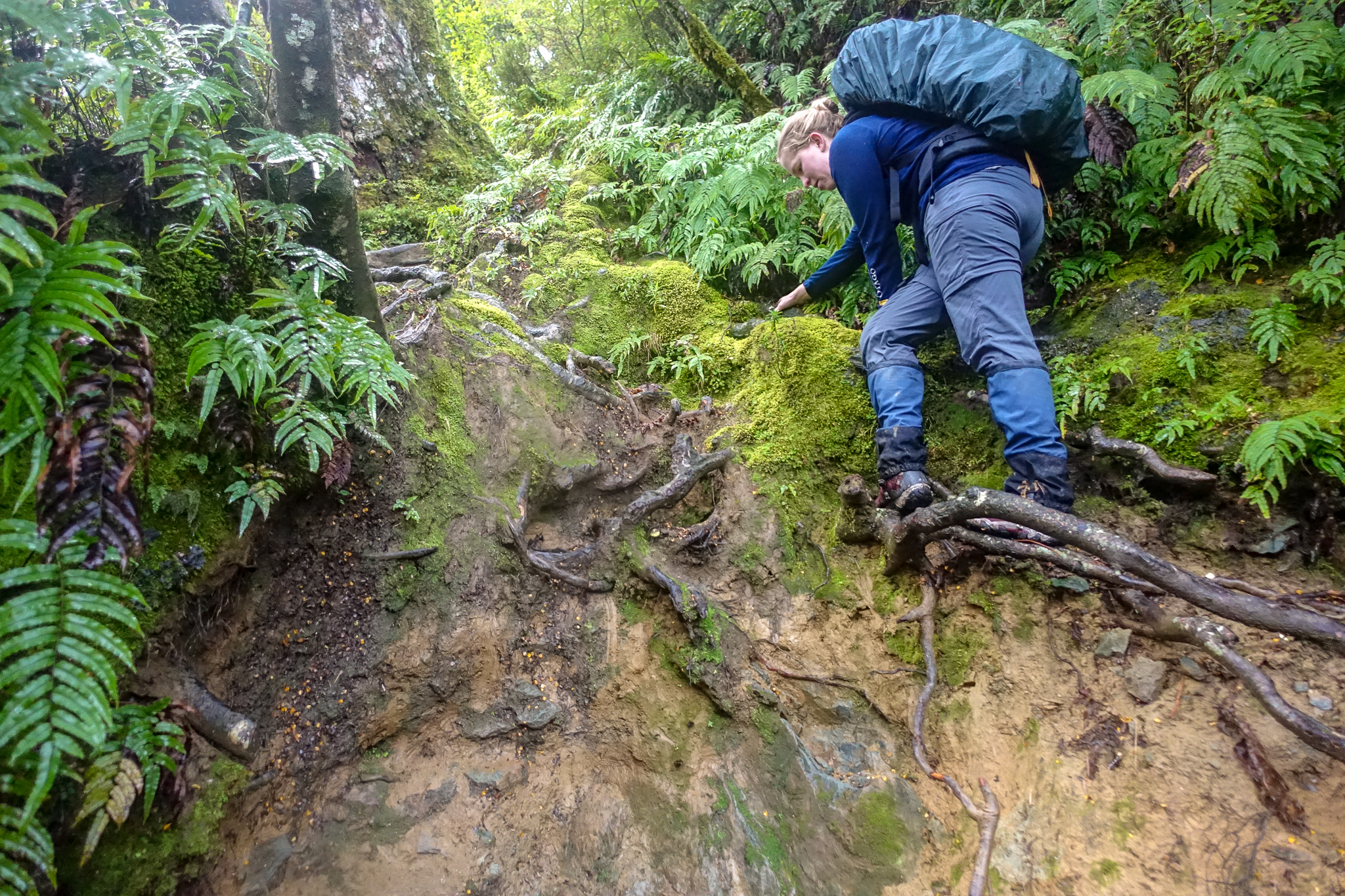 Tramping 101 - Alice Adventuring