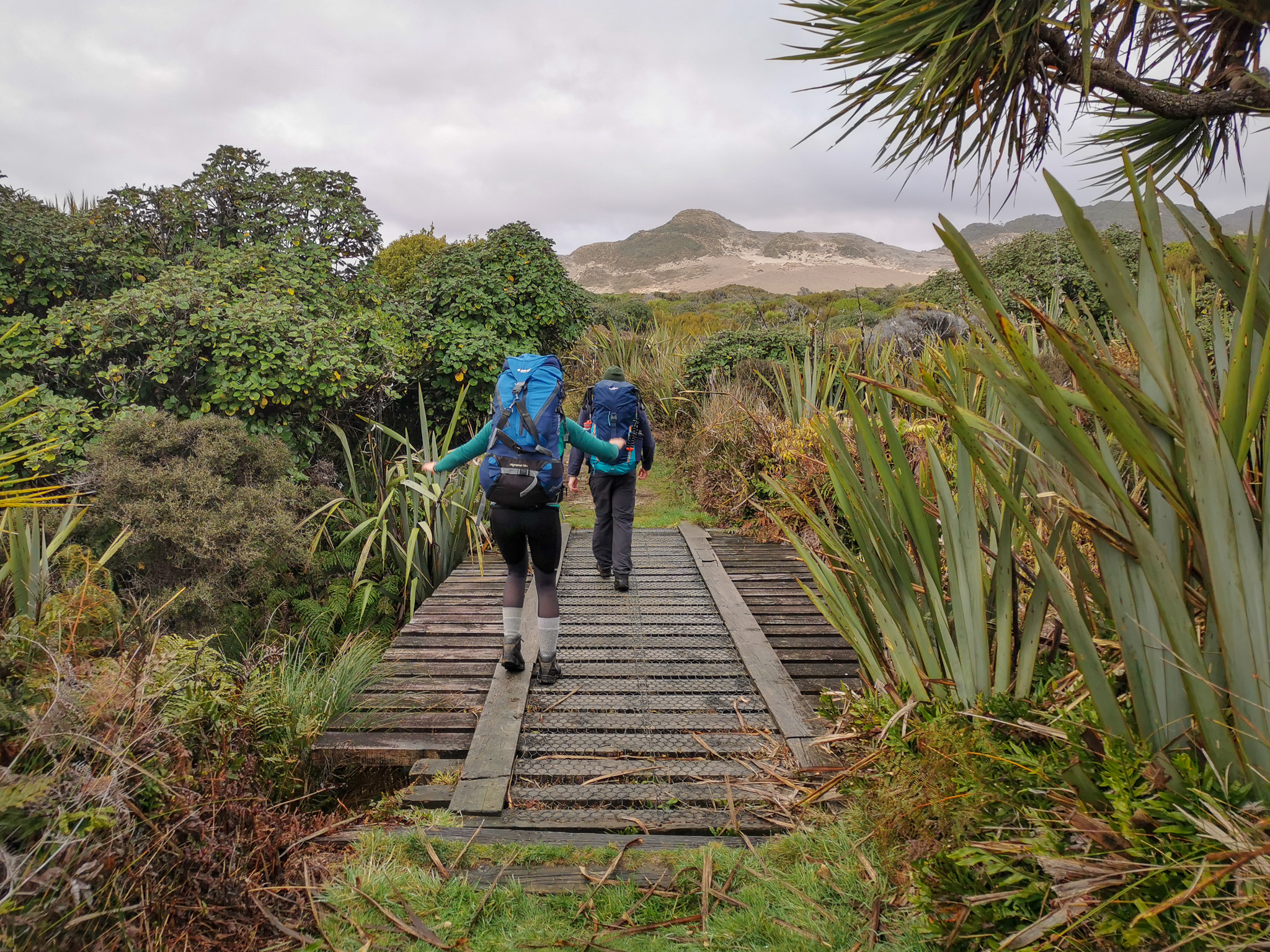 Tramping Mason Bay - Freshwater - North Arm on Stewart Island