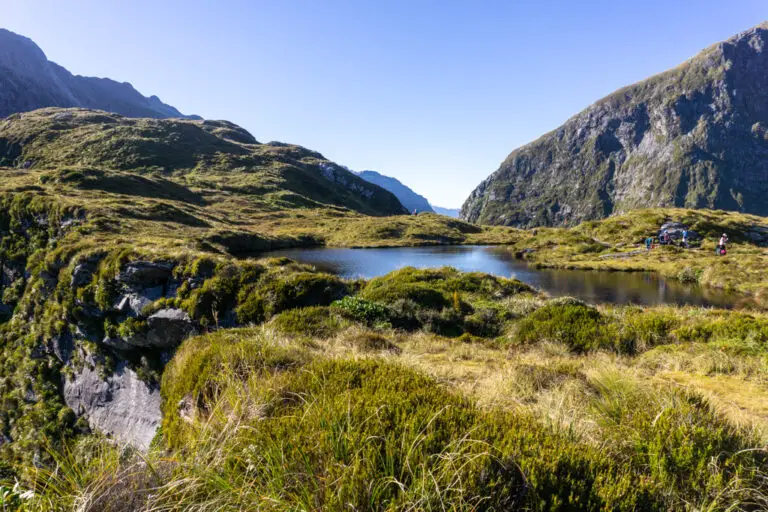 The Milford Track - Everything you need to know - Alice Adventuring