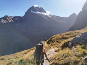 The Milford Track - Everything you need to know - Alice Adventuring