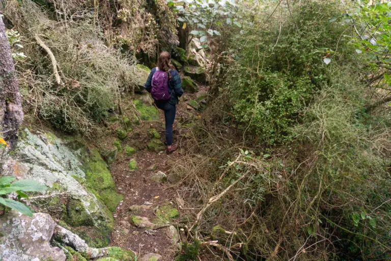 Makarewa Falls Track: Southland's hidden waterfall - Alice Adventuring