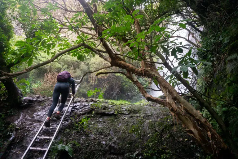 Makarewa Falls Track: Southland's hidden waterfall - Alice Adventuring