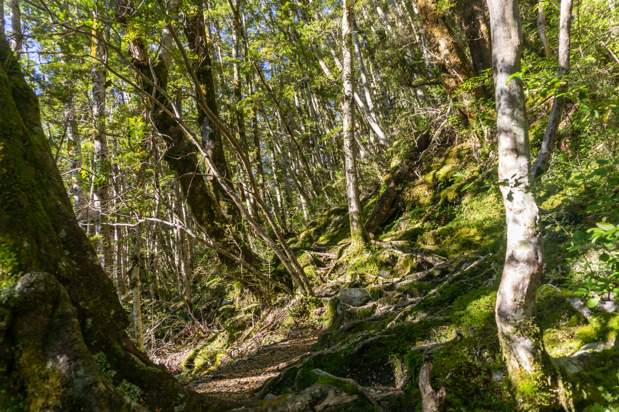 Cascade Saddle Route: what you need to know to climb safely