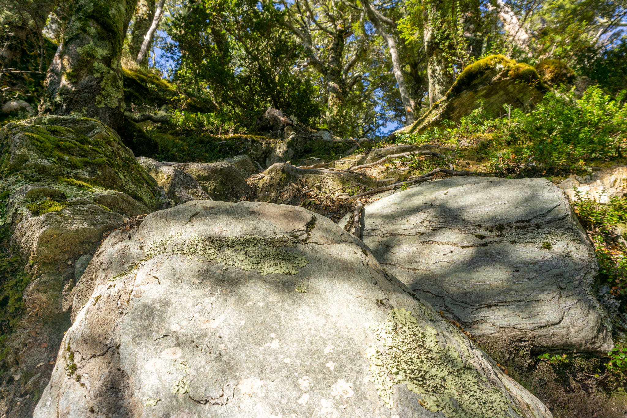 Cascade Saddle Route: what you need to know to climb safely
