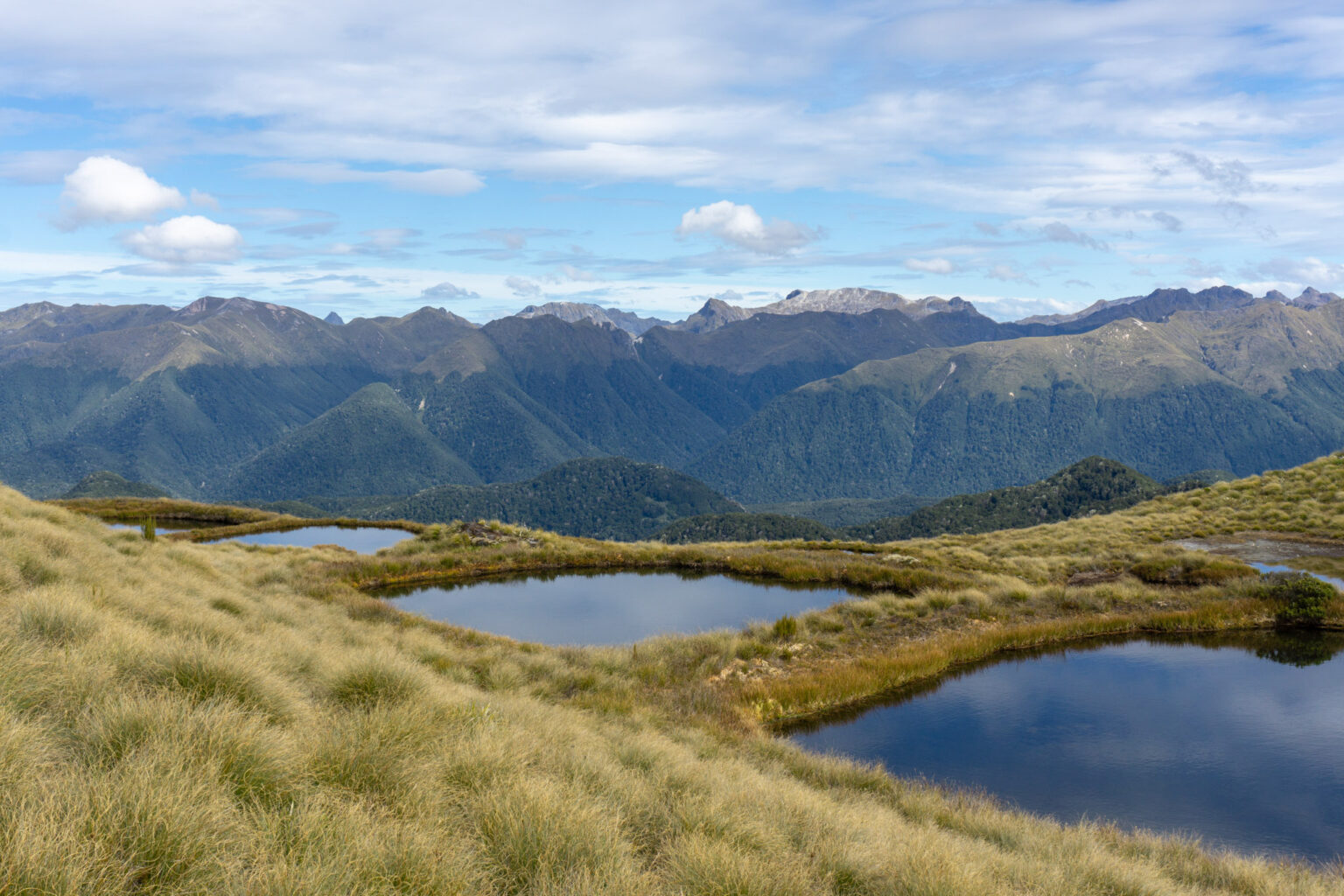 Green Lake Hut: Southland's best hut? - Alice Adventuring