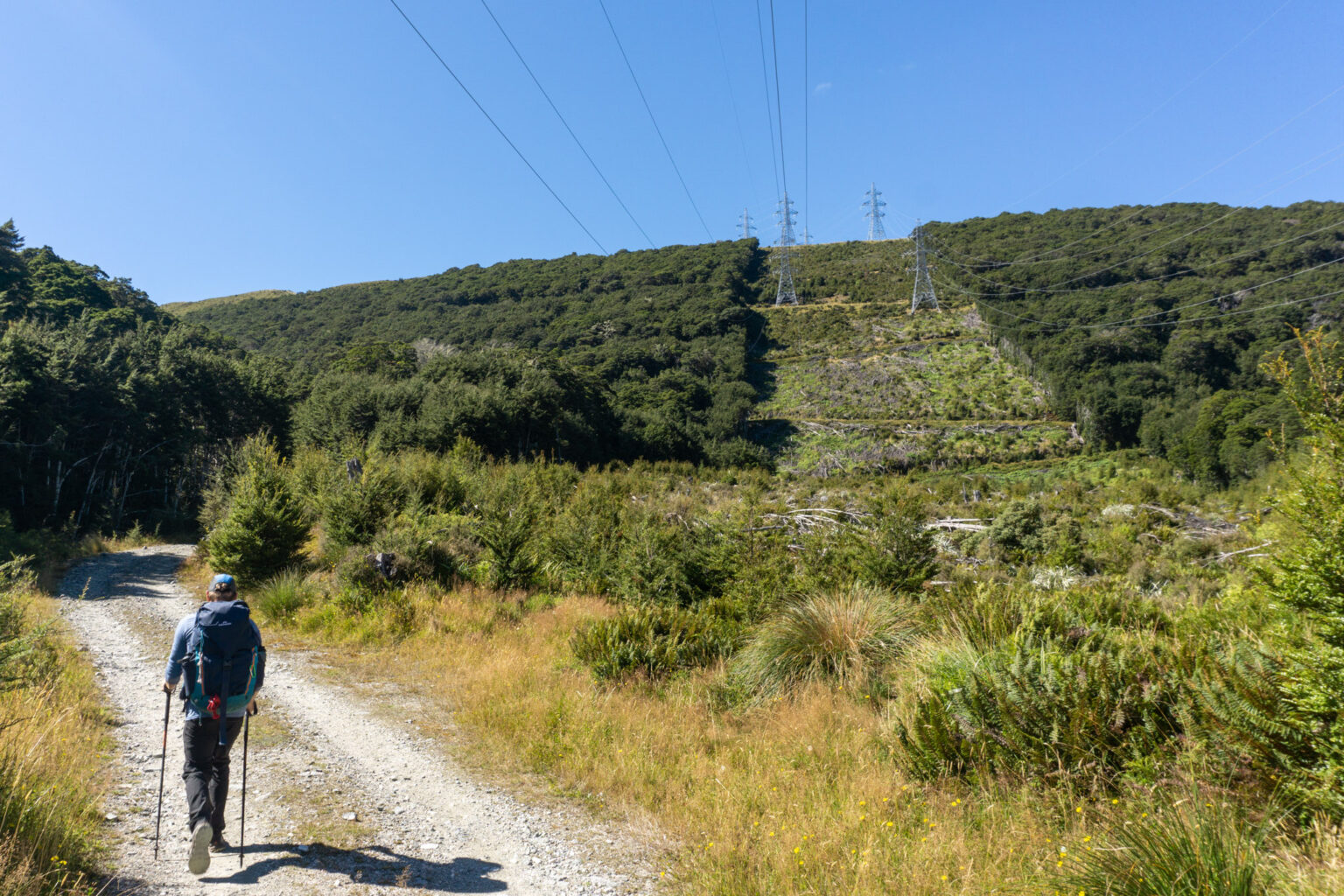 Green Lake Hut: Southland's best hut? - Alice Adventuring